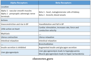 Adrenergic System Question and Answer - Class Notes