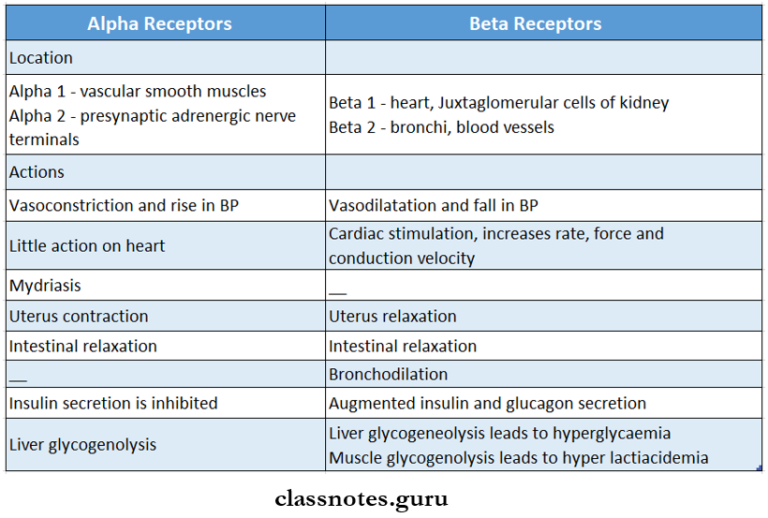 Adrenergic System Question and Answer - Class Notes