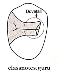 Dental Amalgam Question And Answers - Class Notes