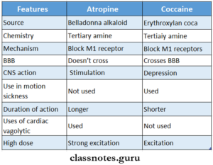 Anticholinergic Drugs - Class Notes