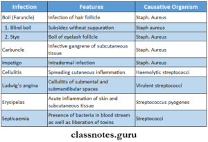 Bacterial Infections Question And Answers - Class Notes