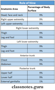 Burns Skin Grafting And Flaps Question And Answers - Class Notes
