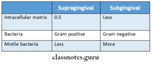 Periodontics – Class Notes