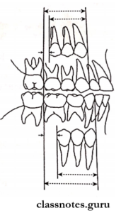 Development Of Dentition Question And Answers - Class Notes