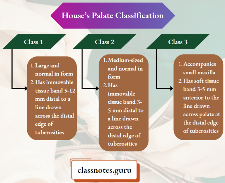 Diagnosis And Treatment Planning In Complete Denture - Class Notes