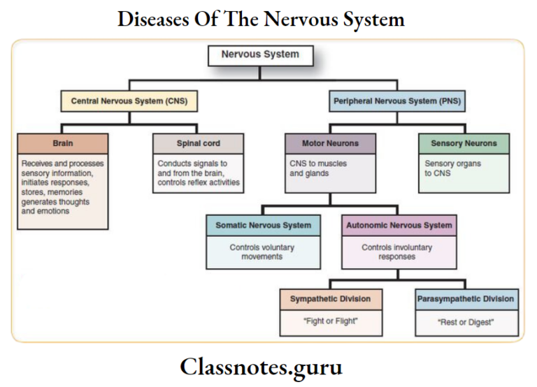 Diseases Of The Nervous System Short Question and Answers - Class Notes