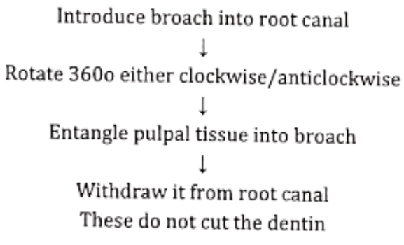 Instrumentation of Endodontics Question And Answers - Class Notes