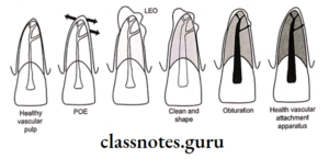 Rationale Of Endodontics Question And Answers - Class Notes