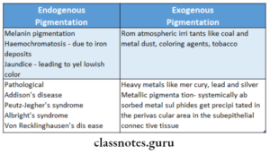 Gingival Inflammation - Class Notes