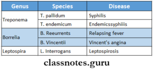 General Medicine – Class Notes