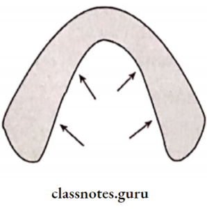 Introduction To Complete Denture - Class Notes