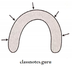 Introduction To Complete Denture - Class Notes