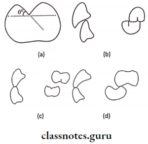 Maxillomandibular Relations Long Essays - Class Notes