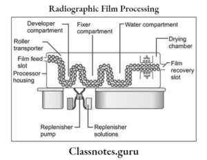 Radiographic Film Processing Long and Short Essays - Class Notes