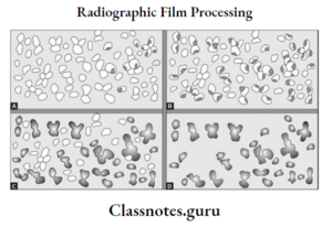 Radiographic Film Processing Long and Short Essays - Class Notes
