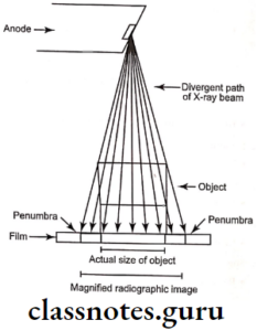 Ideal Radiograph Long Essays - Class Notes