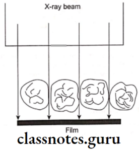 Intraoral Radiographic Techniques Long Essays - Class Notes