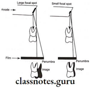Intraoral Radiographic Techniques Short Essays - Class Notes