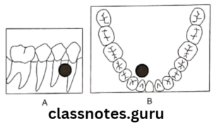 Object Localisation Techniques Long Essays - Class Notes