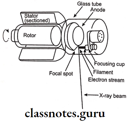 Production Of X Ray Long And Short Essays - Class Notes