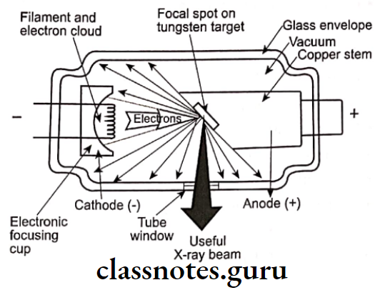 Production Of X Ray Long And Short Essays - Class Notes