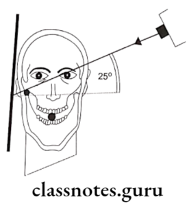 Specialized Radiographic Techniques Long Essays - Class Notes