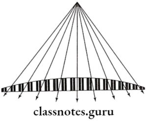 X-Ray Film And Accessories Notes And Short Essays - Class Notes