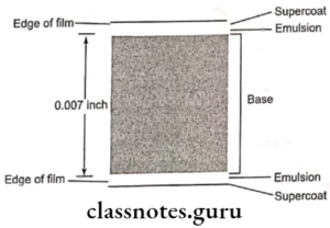 X-Ray Film And Accessories Notes And Short Essays - Class Notes