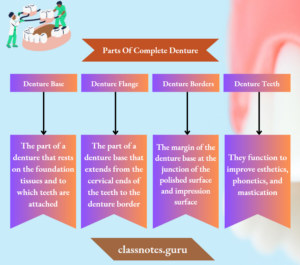 Complete Dentures Short Question and Answers - Class Notes