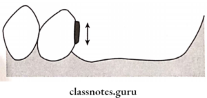 Sainavle – Class Notes