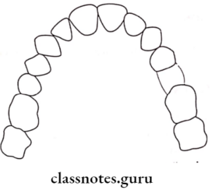 Sainavle – Class Notes
