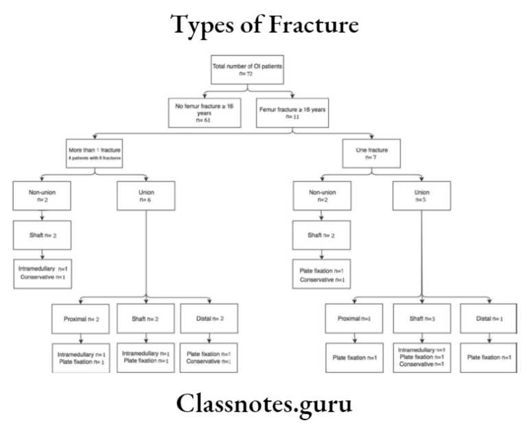 Types Of Fracture Long Essays - Class Notes