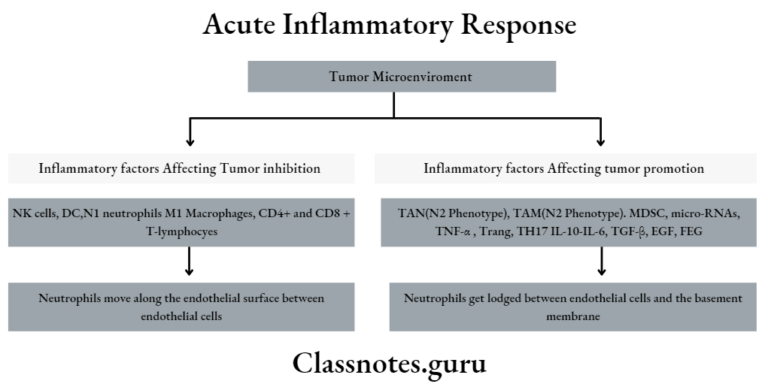 Acute Inflammatory Response Question And Answers - Class Notes