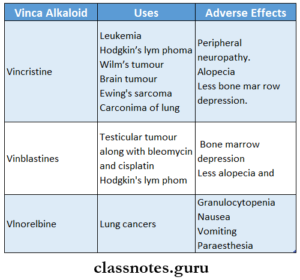 Anti Cancer Drugs Short Essay Question And Answers - Class Notes