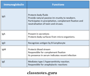 Types Of Immunoglobulins - Class Notes