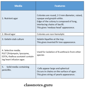 Bacillus - Class Notes