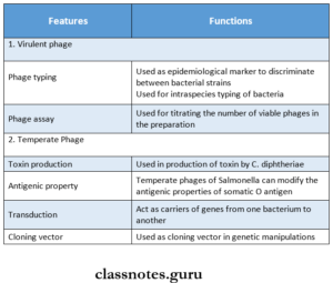Retrovirus HIV Virology Short And Long Essay Question And Answers ...