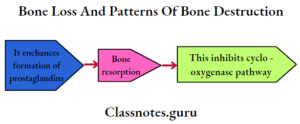 Bone Loss And Patterns Of Bone Destruction - Class Notes