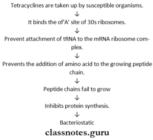 Broad Spectrum Antibiotics Question And Answers - Class Notes