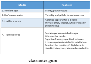 Corynebacterium Diphtheriae - Class Notes