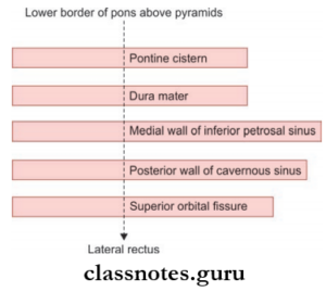 Cranial Nerves Question And Answers - Class Notes