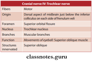 Cranial Nerves Question And Answers - Class Notes