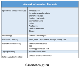 DNA Viruses Virology Short Essay Question And Answers - Class Notes