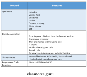 DNA Viruses Virology Short Essay Question And Answers - Class Notes