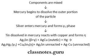 Dental Amalgam Composition Question and Answers - Class Notes