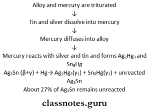 Dental Amalgam Composition Question and Answers - Class Notes