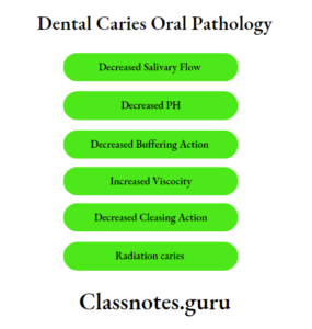 Dental Caries Oral Pathology Essay Question And Answers - Class Notes