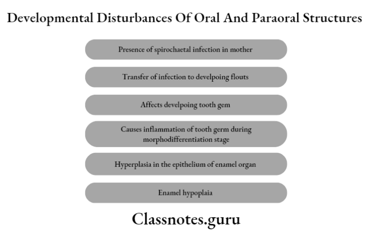 Developmental Disturbances Of Oral And Paraoral Structures Essay ...