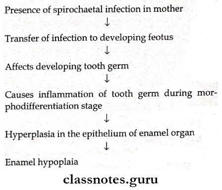 Developmental Disturbances Of Oral And Paraoral Structures Essay ...