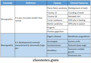 Developmental Disturbances Of Oral And Paraoral Structures Essay ...